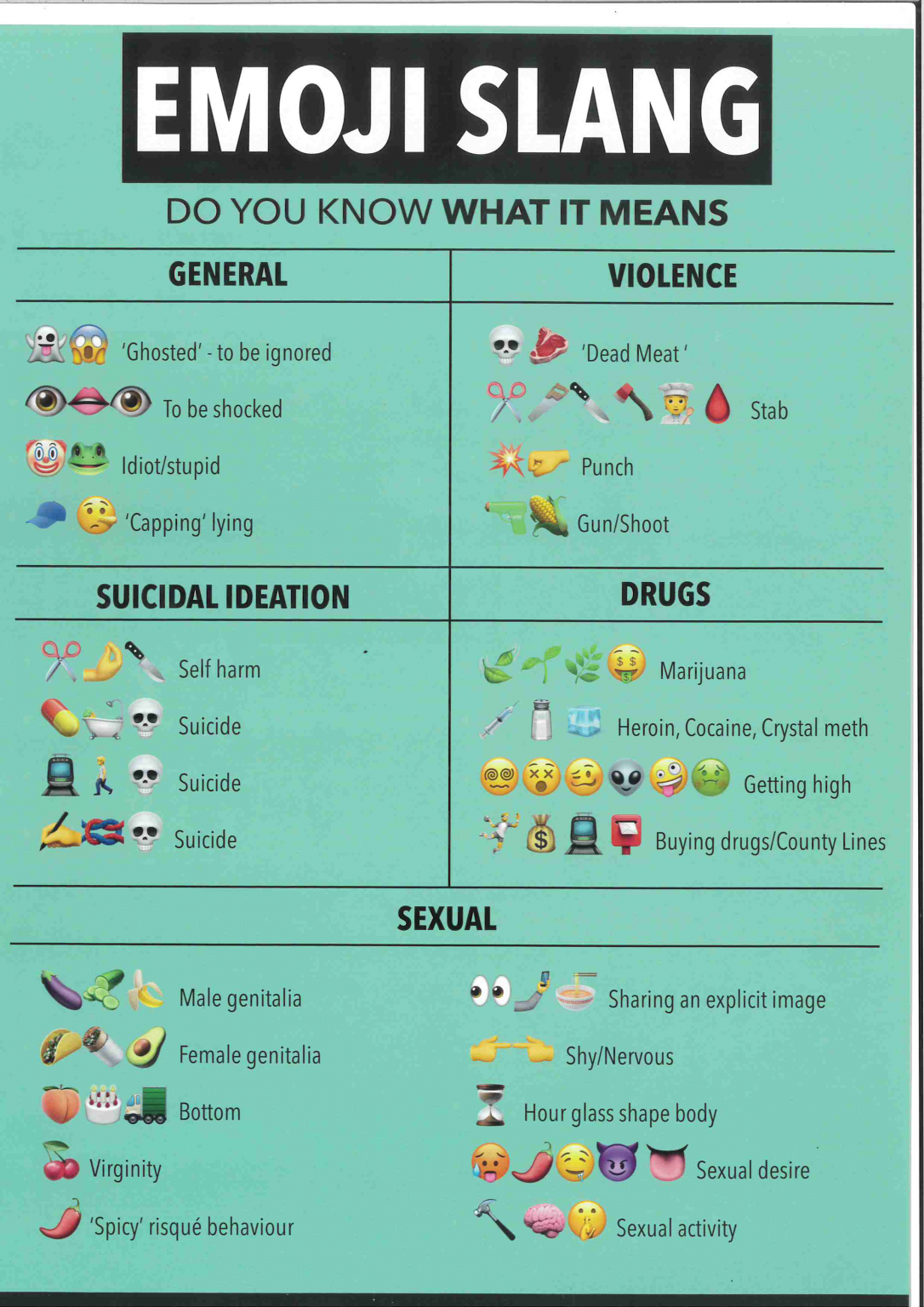 Ormiston Denes Academy - Digital Safeguarding