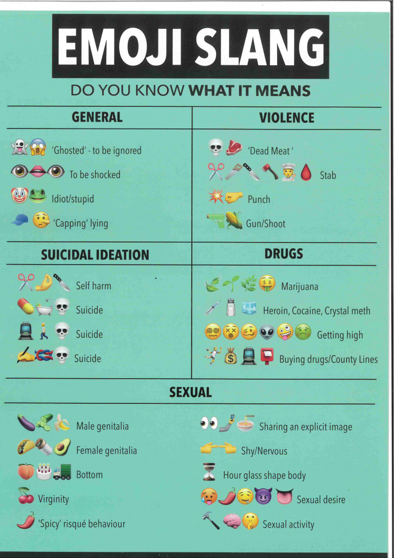 Ormiston Denes Academy - Digital Safeguarding